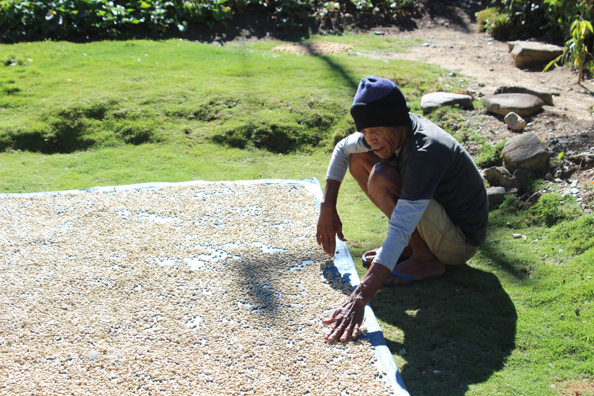 Ethical & Sustainable Coffee Roasters - Corner Store Network – The ...