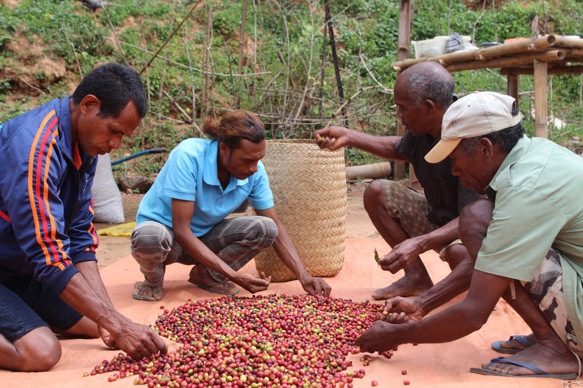 Coffee – The Corner Store Network